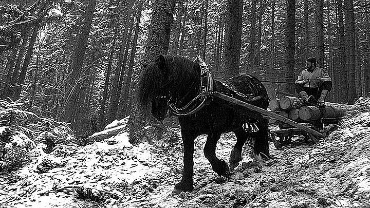 Blochziehen on the Lackenberg Mondsee